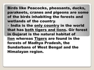 Natural vegetation and wildlife | PPTX