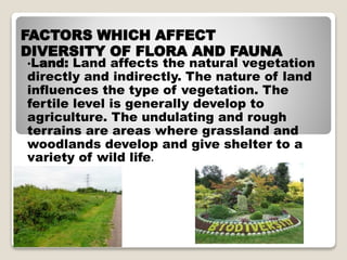 Natural vegetation and wildlife | PPTX