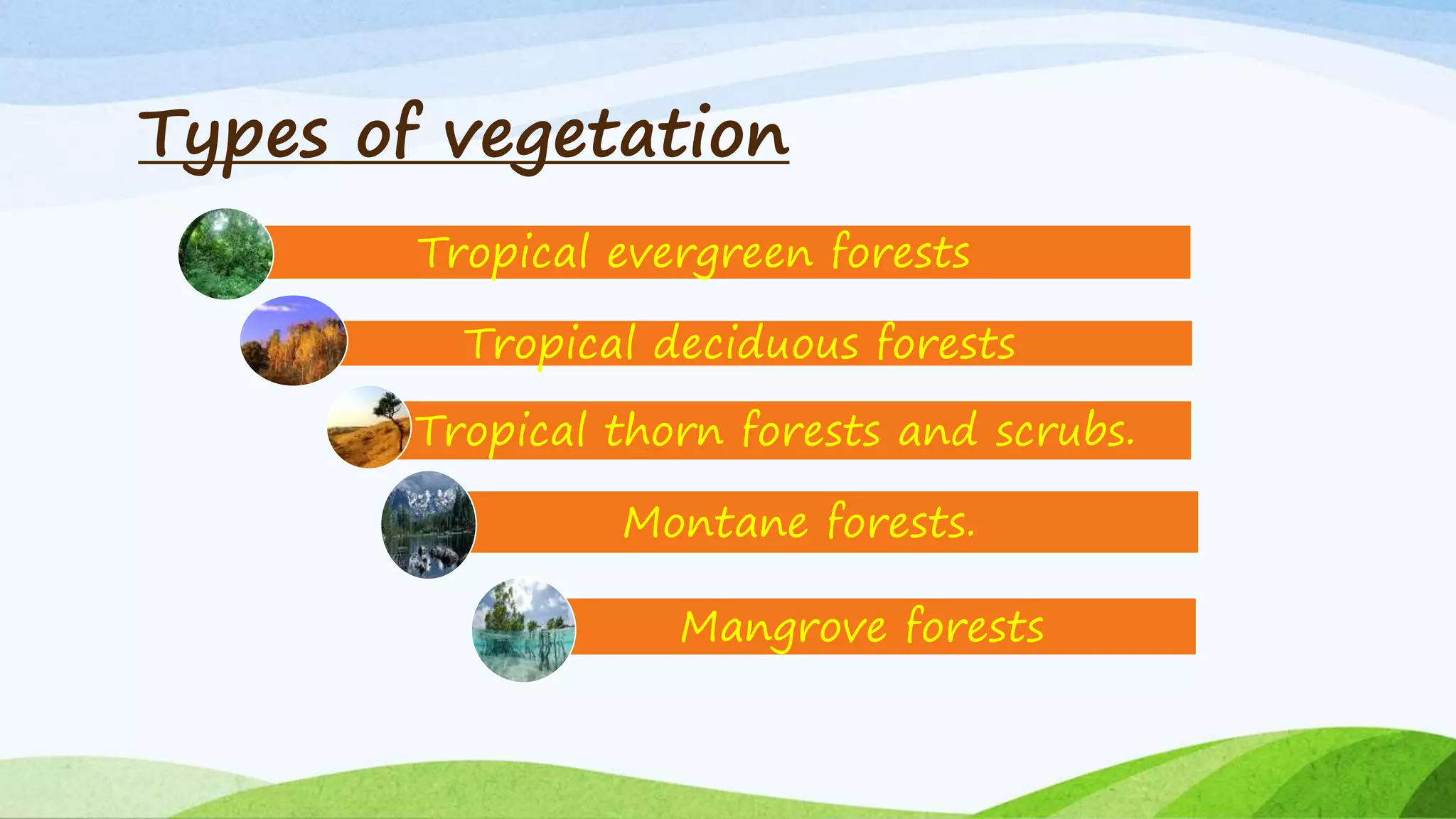 Natural vegetation and wildlife | PPTX