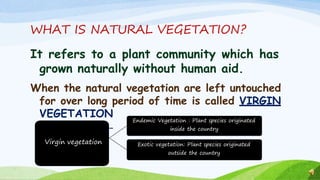 naturalvegetationandwildlife | PPTX