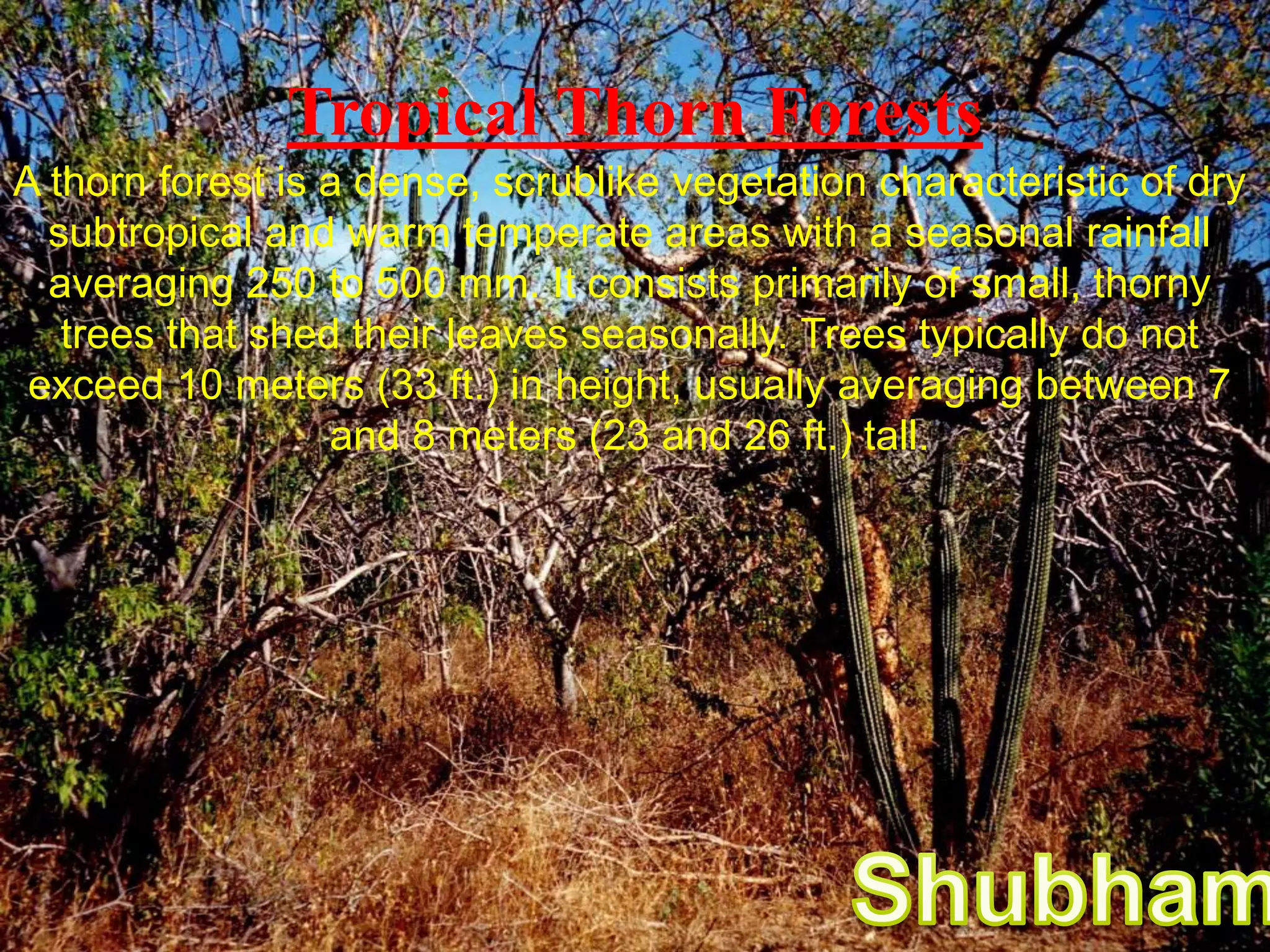 Natural vegetation and wildlife PPT for class 9 CBSE | PPTX