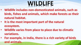 Natural vegetation and wildlife For class - 8 | PPTX