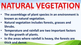 Natural vegetation and wildlife For class - 8 | PPTX