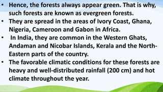 Natural vegetation and wildlife For class - 8 | PPTX