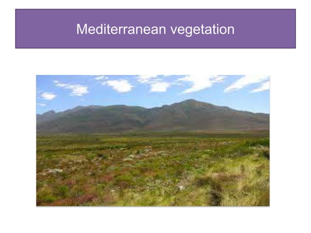 Natural vegetation and wildlife | PPT