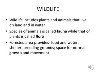 Natural vegetation and wildlife | PPTX