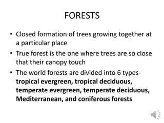 Natural vegetation and wildlife | PPTX | Landscaping | Home & Garden