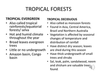 Natural vegetation and wildlife | PPTX
