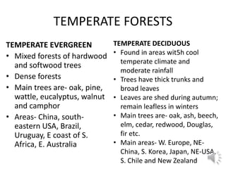 Natural vegetation and wildlife | PPTX | Landscaping | Home & Garden