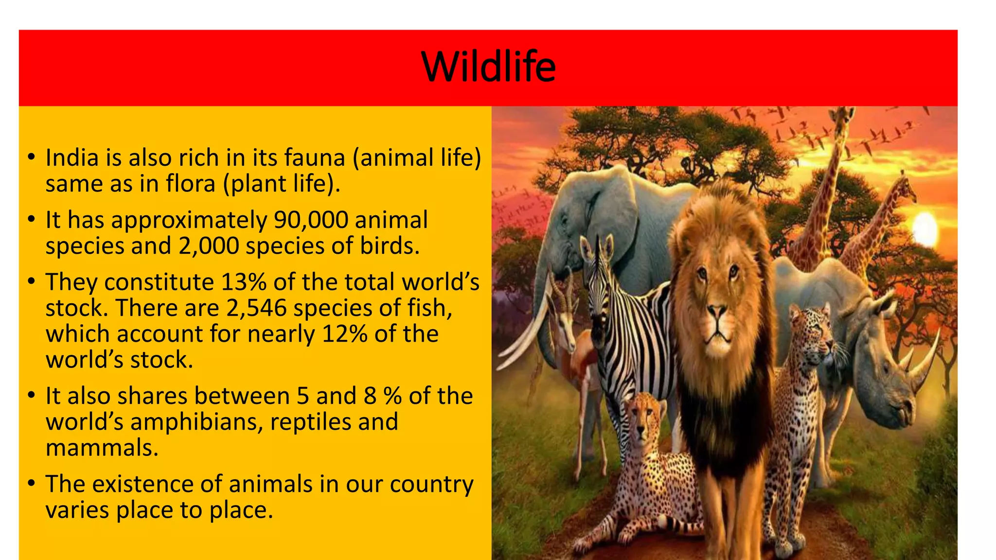 NATURAL VEGETATION AND WILD LIFE.pptx