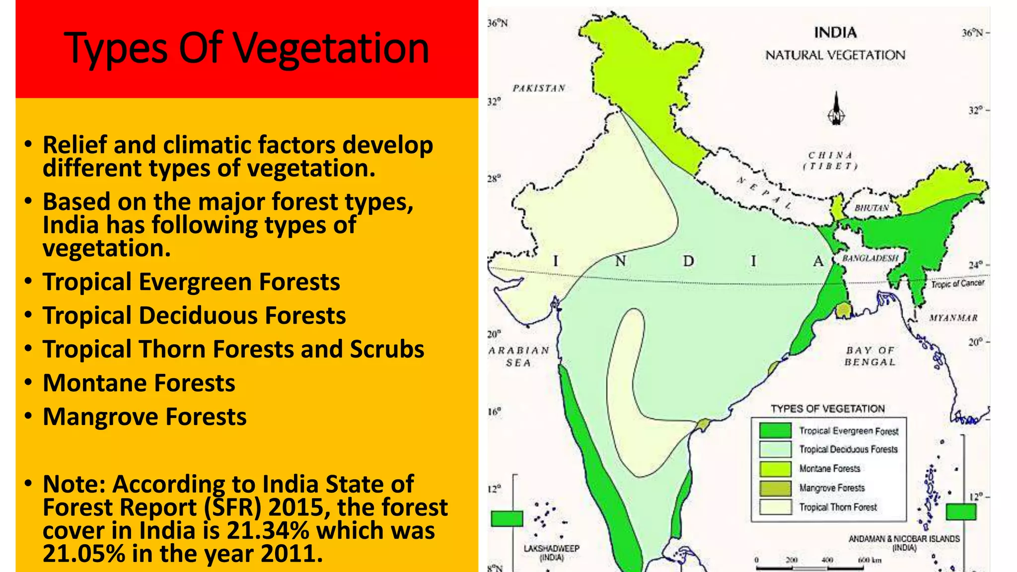 NATURAL VEGETATION AND WILD LIFE.pptx