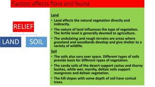 NATURAL VEGETATION AND WILD LIFE.pptx