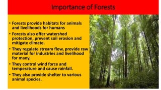 NATURAL VEGETATION AND WILD LIFE.pptx