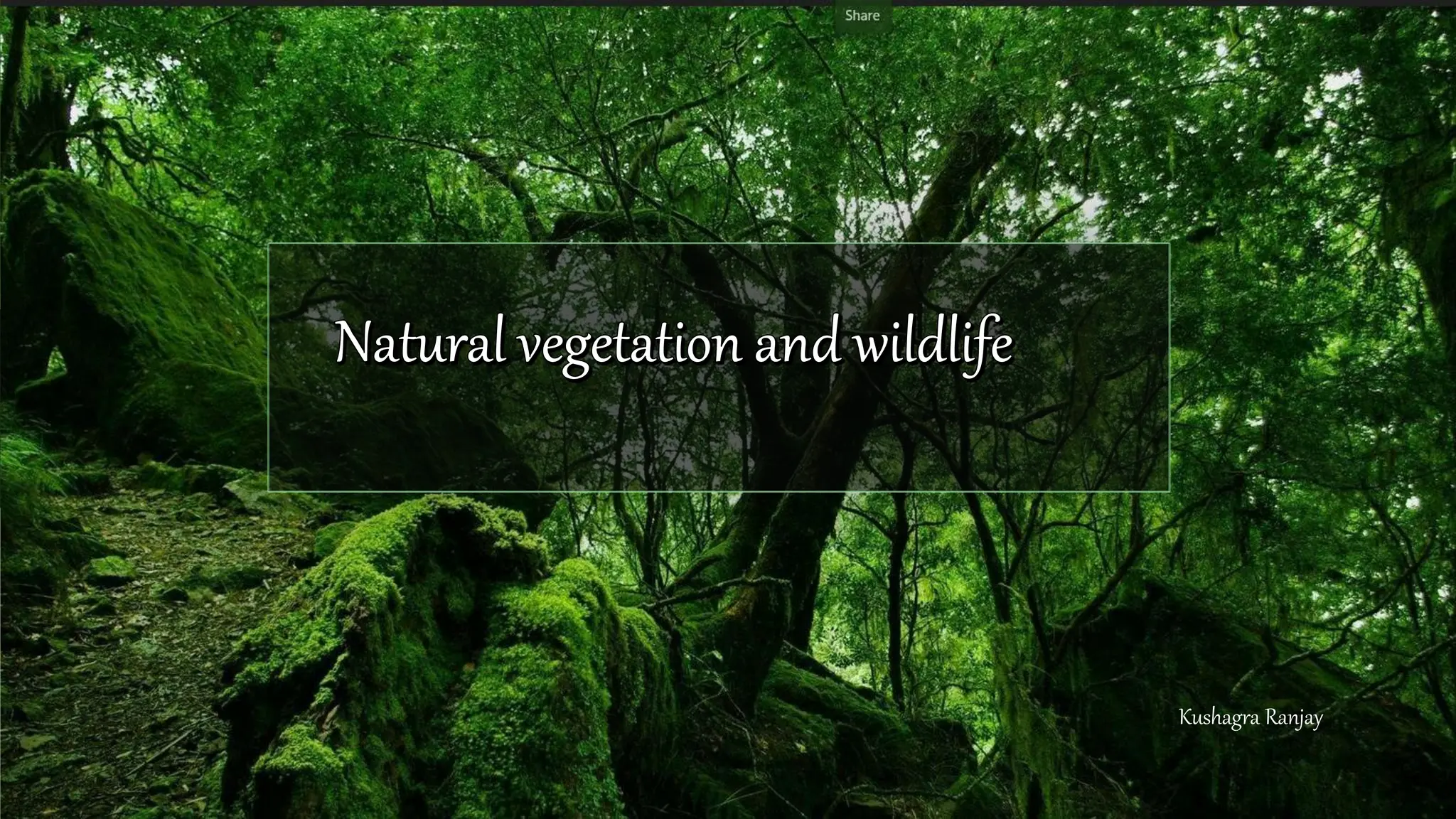 Natural Vegetation and wildlife | PPTX