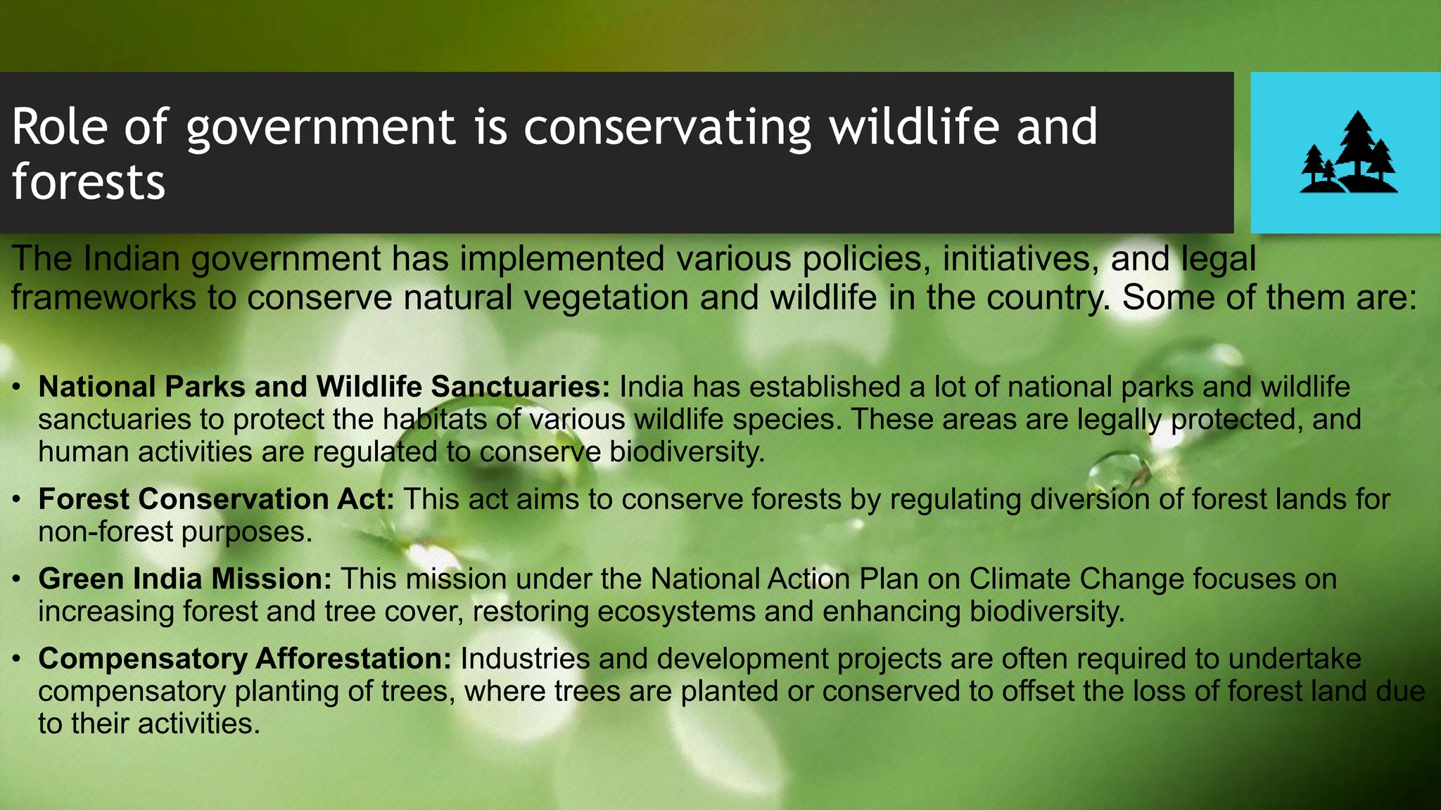 Natural Vegetation and wildlife | PPTX