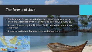 Natural Vegetation and wildlife | PPTX