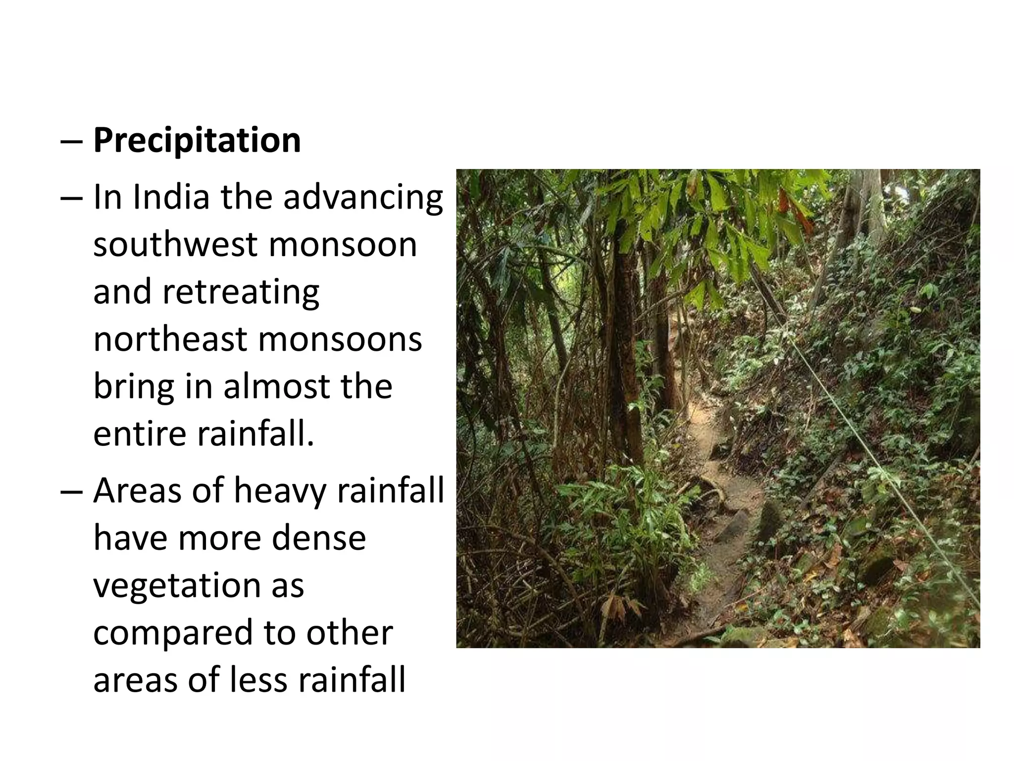 Natural vegetation and wild life 9th | PPTX