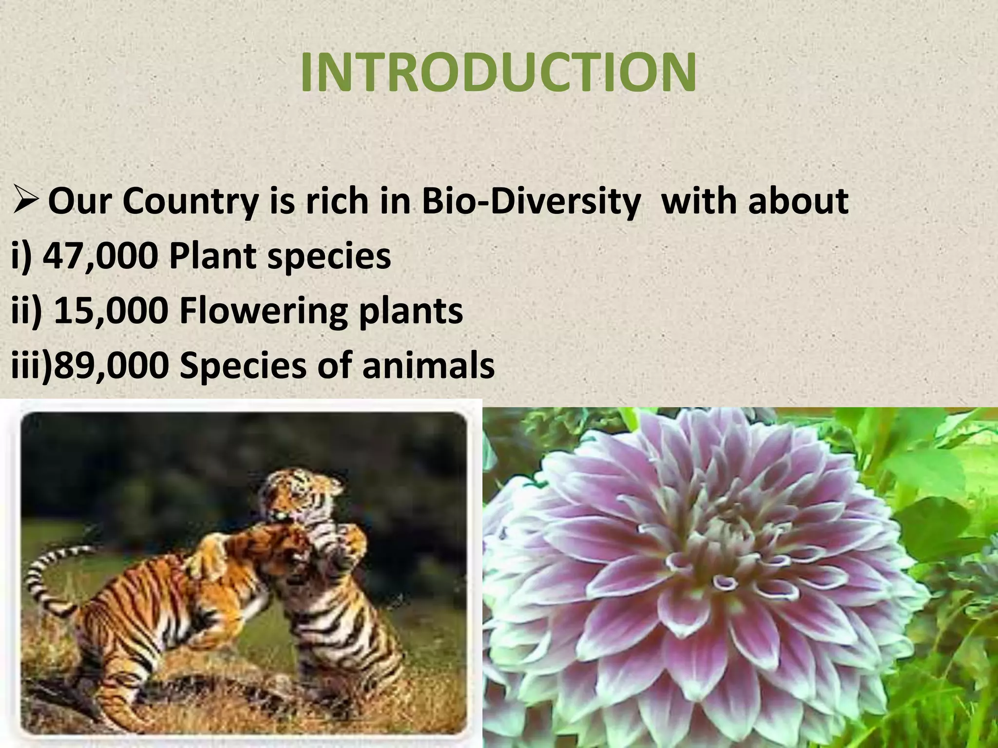 Natural vegetation and wild life 9th | PPTX