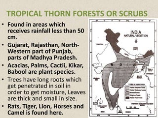 Natural vegetation and wild life 9th | PPTX