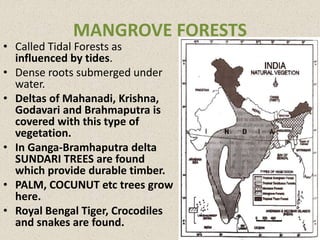 Natural vegetation and wild life 9th | PPTX