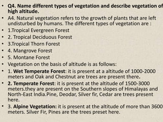 Natural vegetation and wild life 9th | PPTX