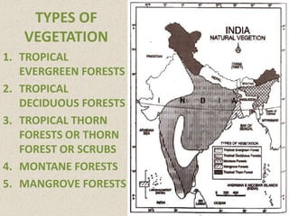 Natural vegetation and wild life 9th | PPTX
