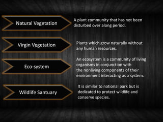 Natural vegetation and Wildlife | PPTX