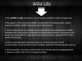 Natural vegetation and Wildlife | PPTX