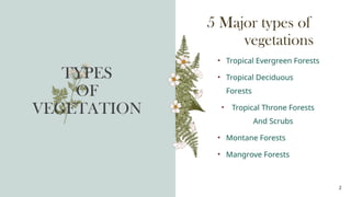 Natural vegetation and wildlife hkk.pptx