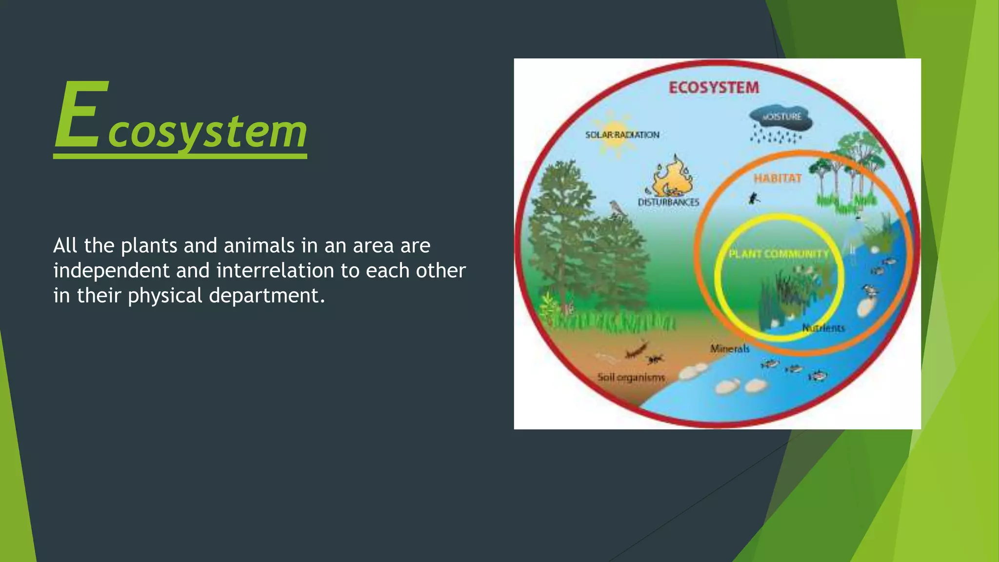 Natural vegetation and wildlife ppt | PPTX