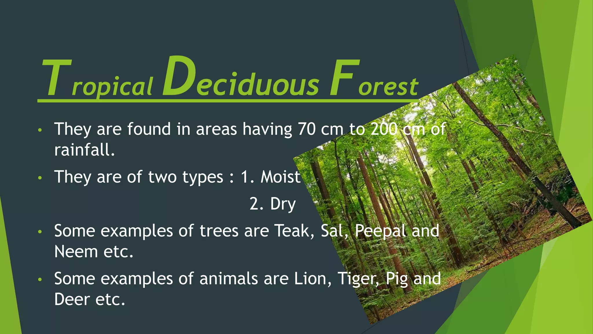 Natural vegetation and wildlife ppt | PPTX