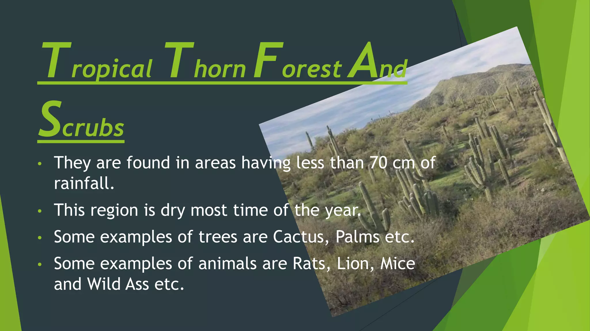 Natural vegetation and wildlife ppt | PPTX