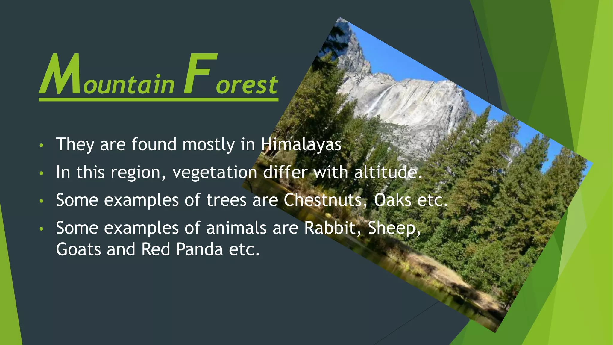 Natural vegetation and wildlife ppt | PPTX
