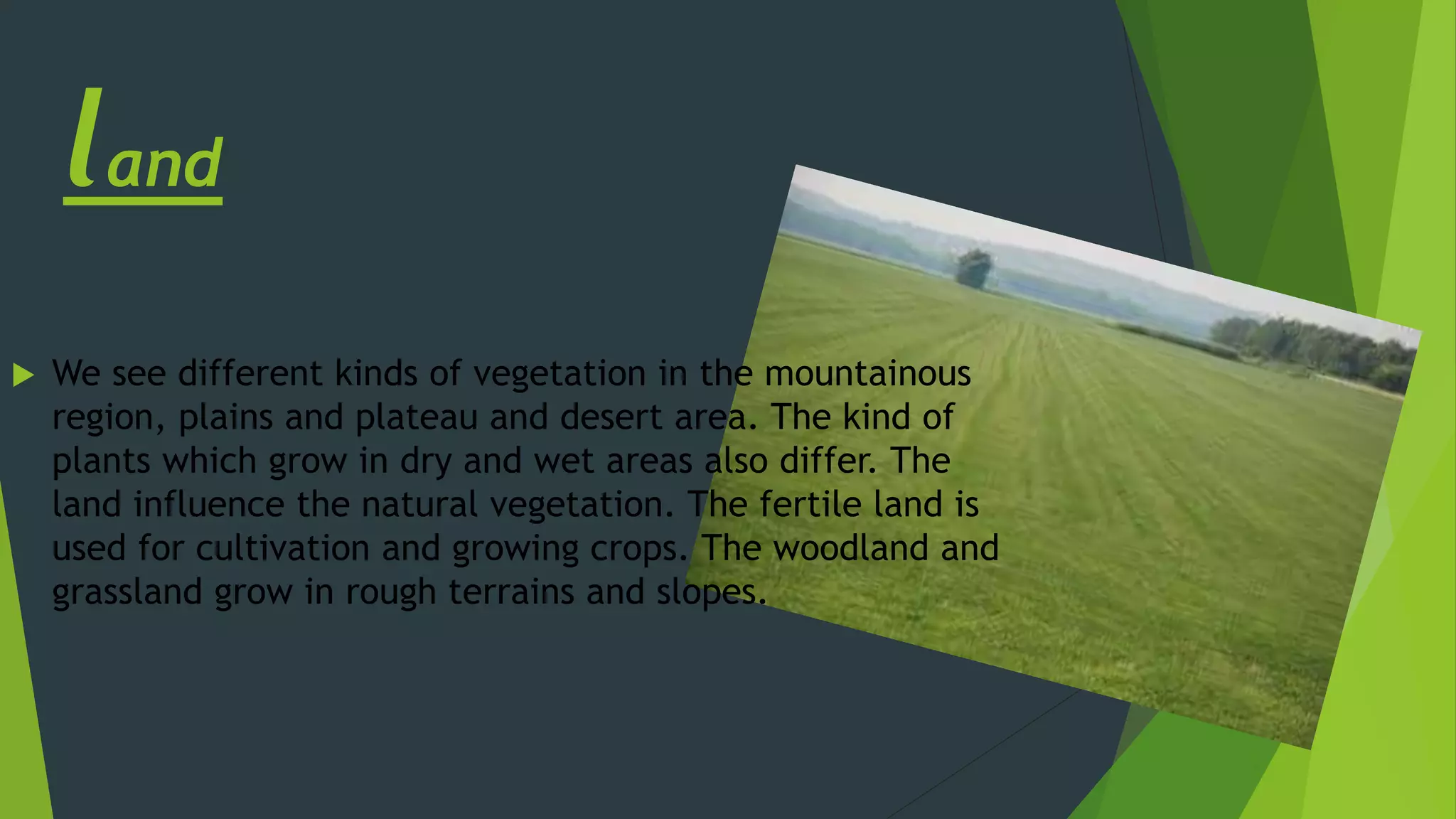 Natural vegetation and wildlife ppt | PPTX