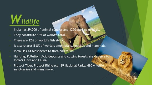 Natural vegetation and wildlife ppt | PPTX