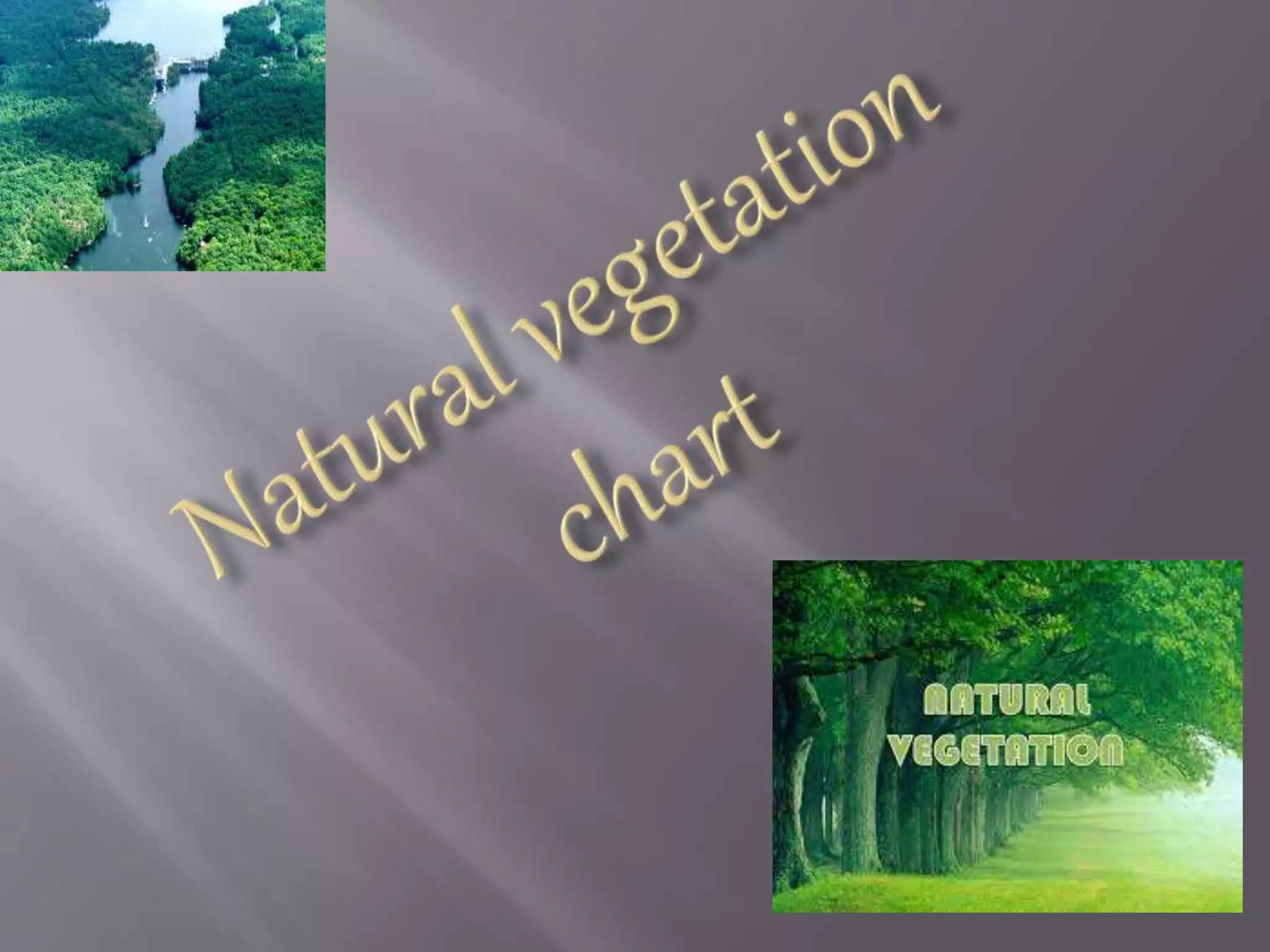 NATURAL VEGETATION AND WILDLIFE | PPTX