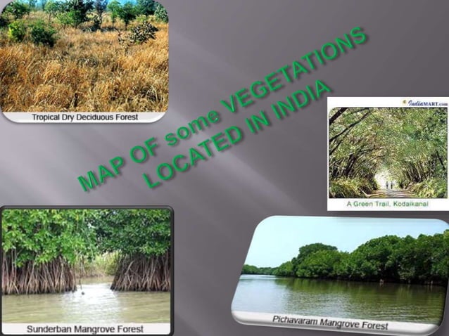 NATURAL VEGETATION AND WILDLIFE | PPTX | Zoos & Aquariums | Attractions