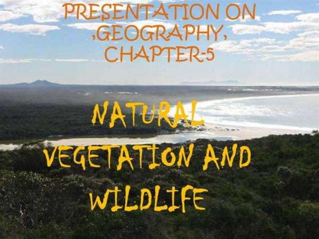 NATURAL VEGETATION AND WILDLIFE | PPTX | Zoos & Aquariums | Attractions