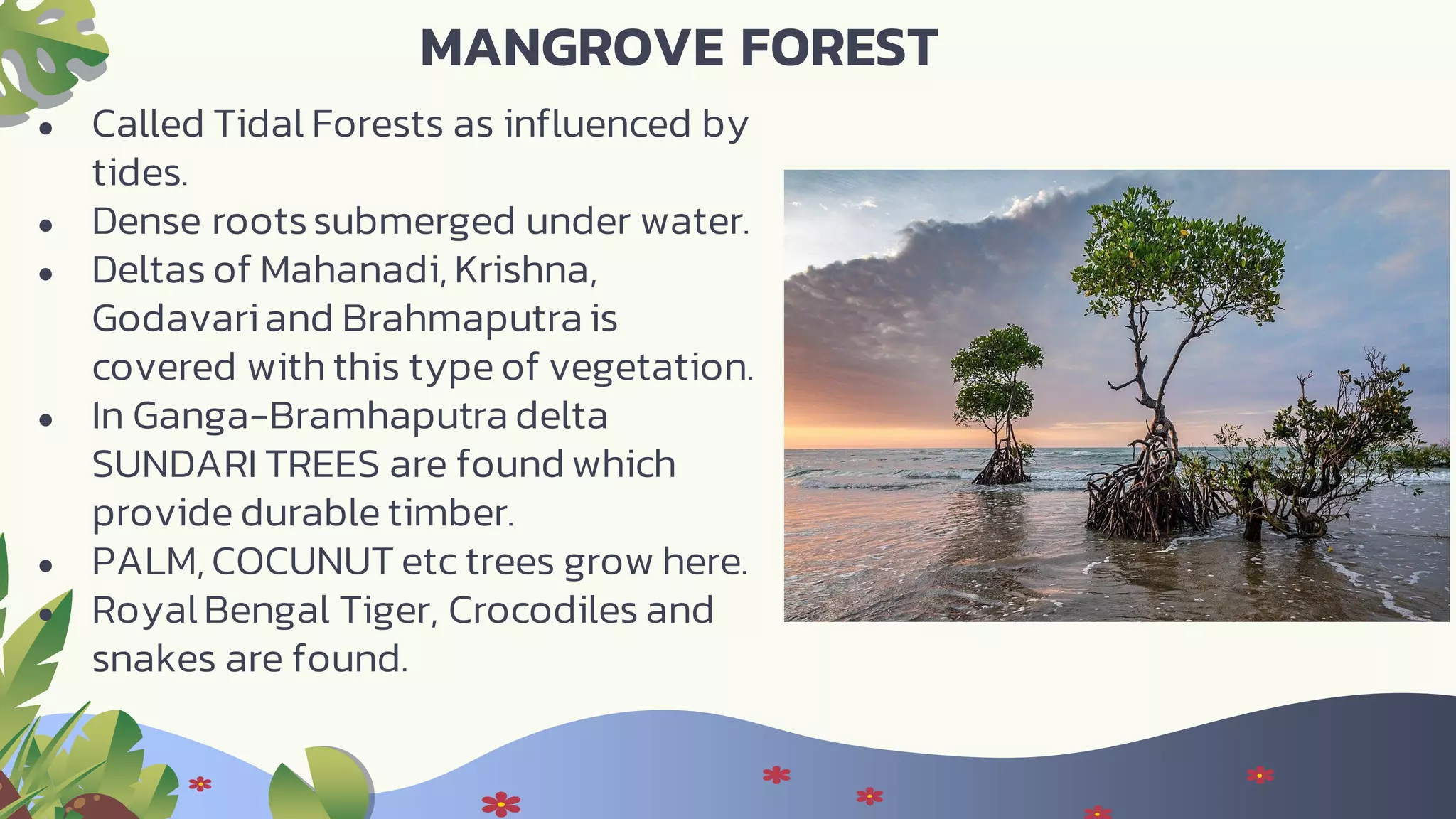 Natural Vegetation And Wild Life ppt.pdf