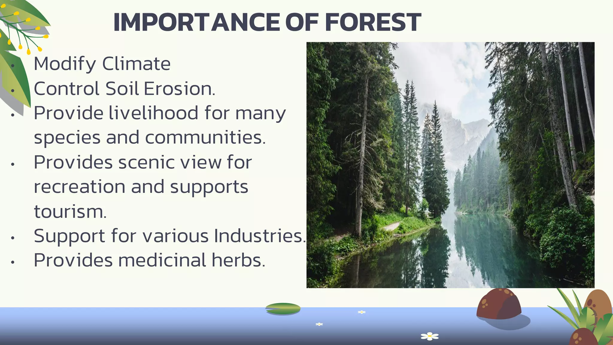 Natural Vegetation And Wild Life ppt.pdf