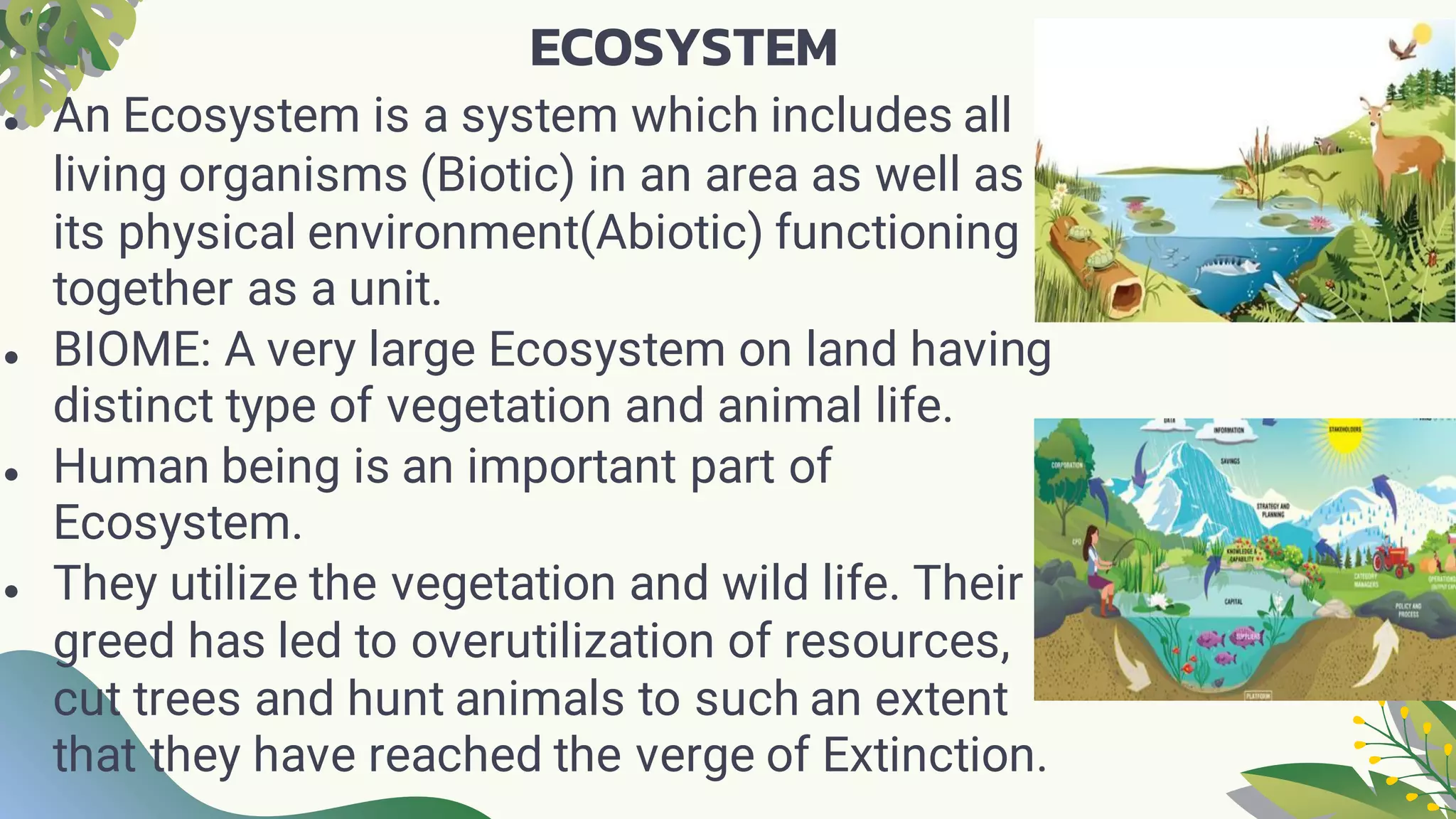 Natural Vegetation And Wild Life ppt.pdf