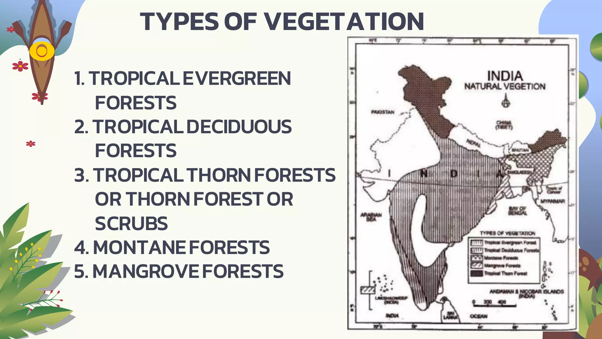 Natural Vegetation And Wild Life ppt.pdf