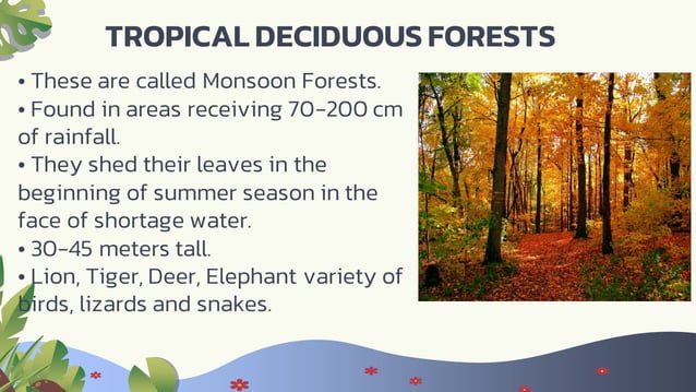 Natural Vegetation And Wild Life ppt.pdf | Geography | Science
