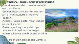 Natural Vegetation And Wild Life ppt.pdf