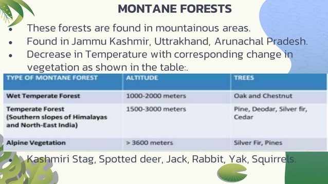 Natural Vegetation And Wild Life ppt.pdf | Geography | Science