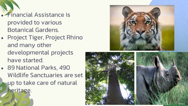 Natural Vegetation And Wild Life ppt.pdf | Geography | Science
