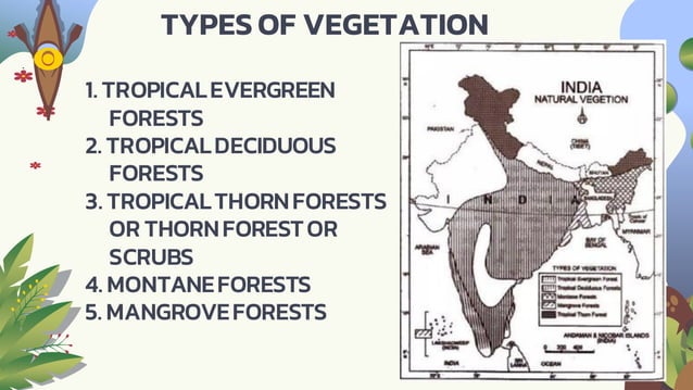 Natural Vegetation And Wild Life ppt.pdf | Geography | Science