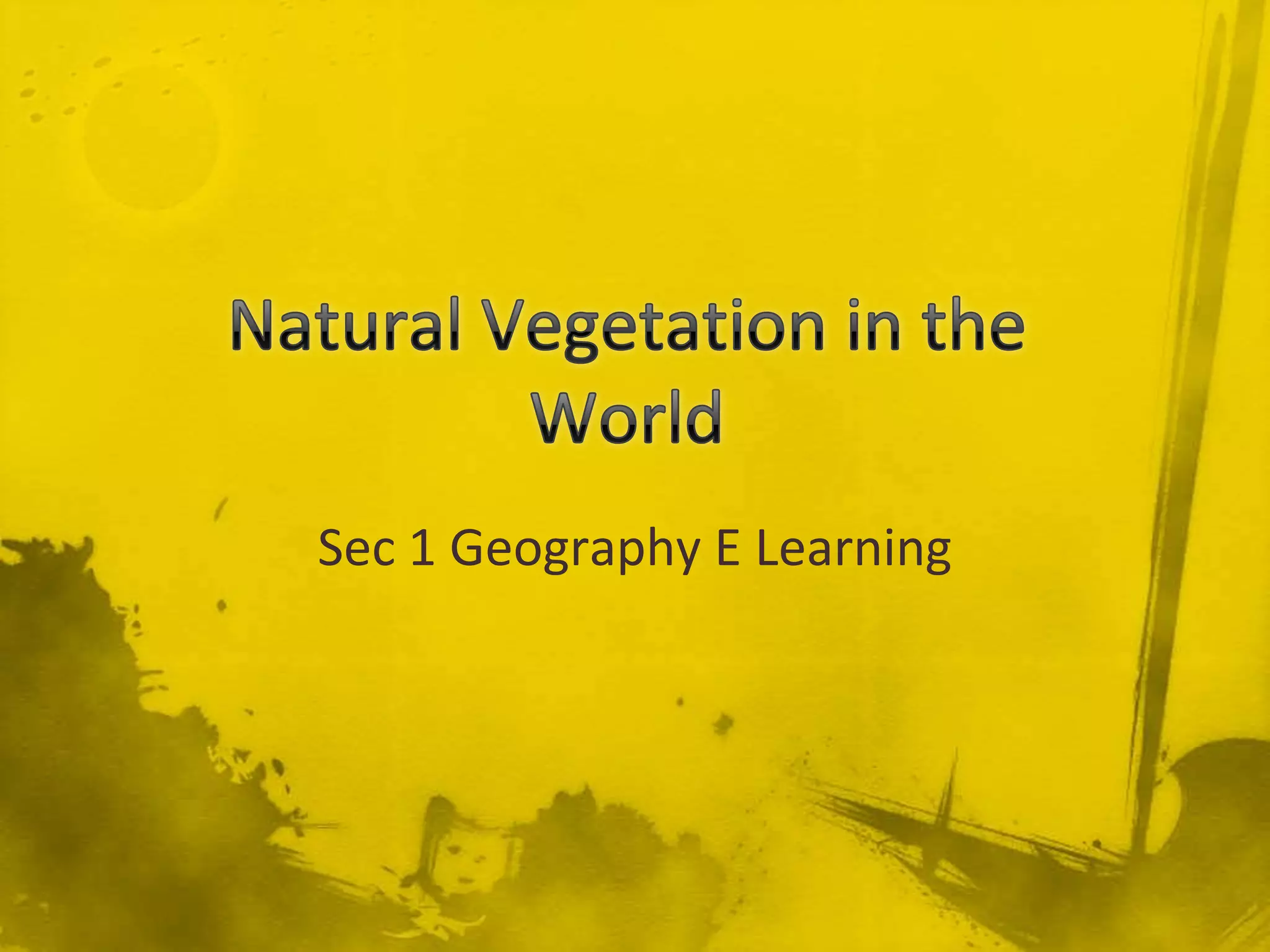 Natural vegetation in the world (Regent Secondary E learning Assignment ...