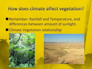 Natural vegetation in the world (Regent Secondary E learning Assignment ...