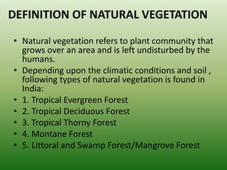 NATURAL VEGETATION AND WILDLIFE 11 CLASS GEOGRAPHY | PPTX